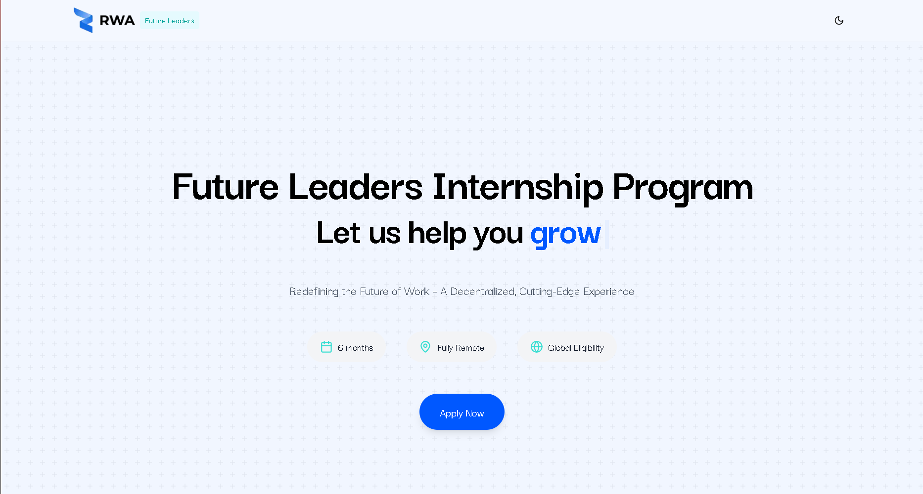 INTERN Future Leaders Internship Program